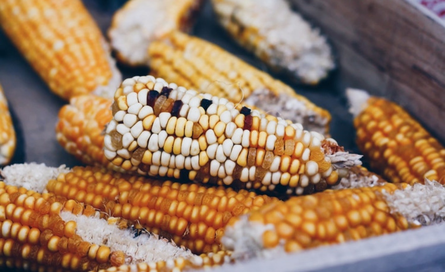 South Sudan Bureau saves citizens of ‘Toxic’ maize – One Citizen Daily ...