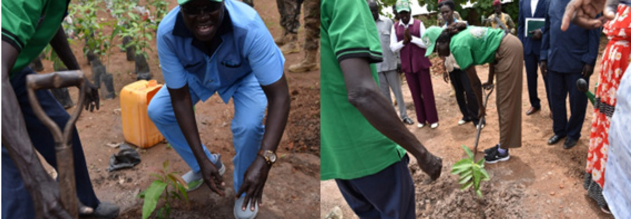 Warrap launches tree planting campaign – One Citizen Daily Newspaper